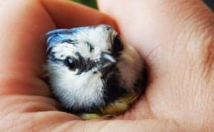 Golf Grip Pressure – The Secret Key to Better Golf