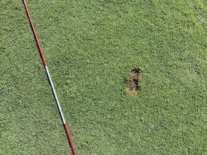 Should You Take A Divot In Golf To Hit Good Shots?