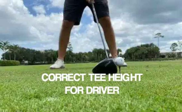 Correct Tee Height For Driver: Distance and Accuracy - Golf Gear Advisor